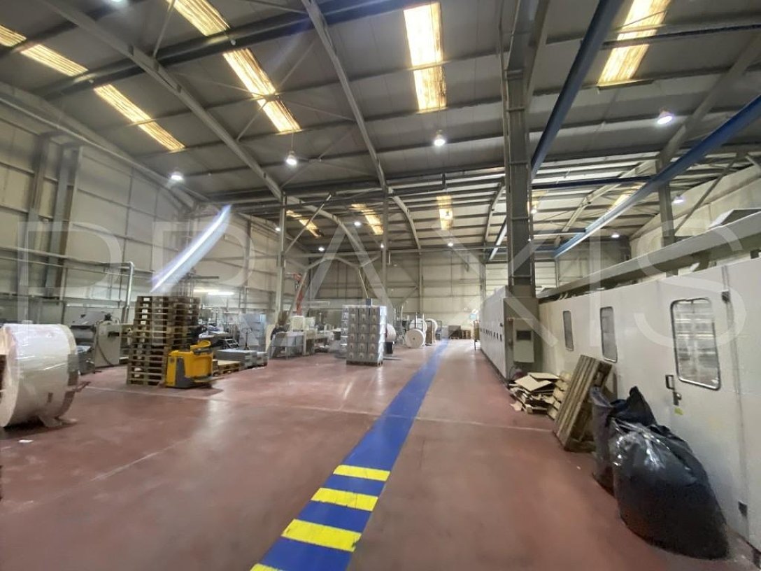 Industrial space / building-for lease-Acharnes (Menidi)-4714sm | Praxis